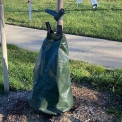 Rings, Donuts, Diapers and Bags. How To Really Water A Tree. – Arapahoe ...